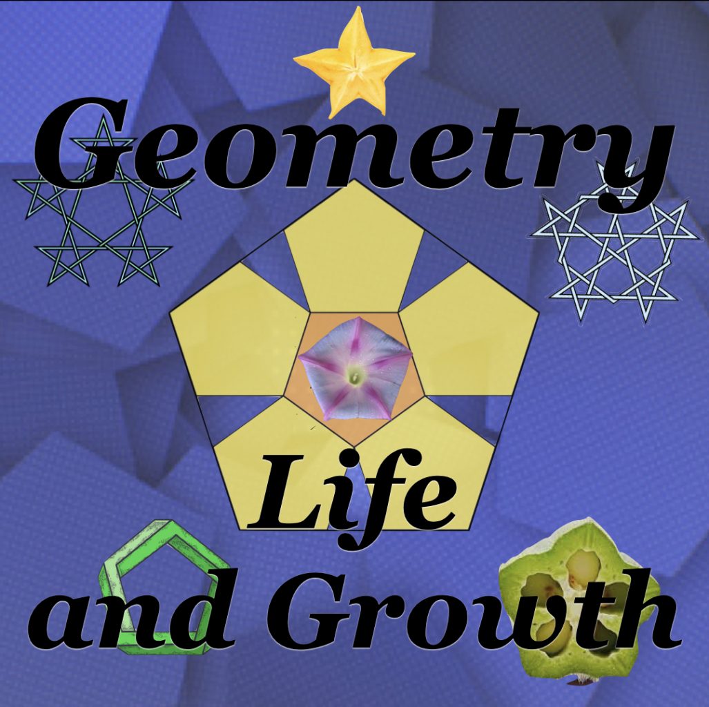 Geometry 5 - Life and Growth - Called to Learn