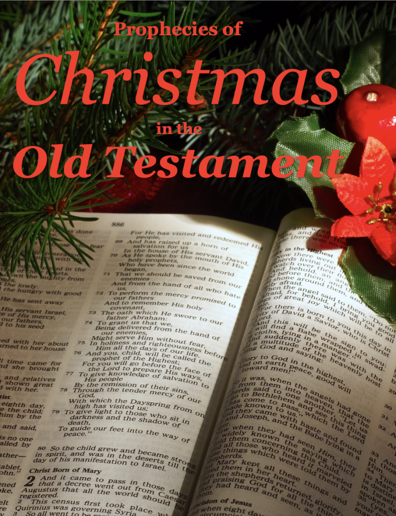 A Christmas Collection - Called to Learn